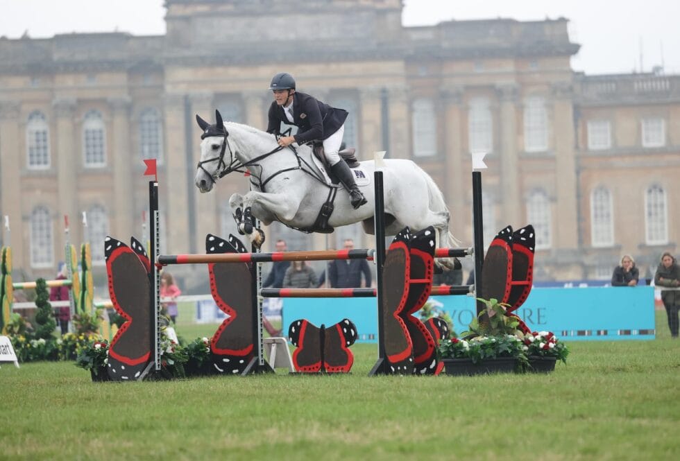 Cool Jack’s Blenhiem Success and 5* Qualification | Hyde Lodge Horses